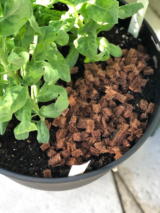Upcycling your Hamama Coco Mats | paleogirl99
